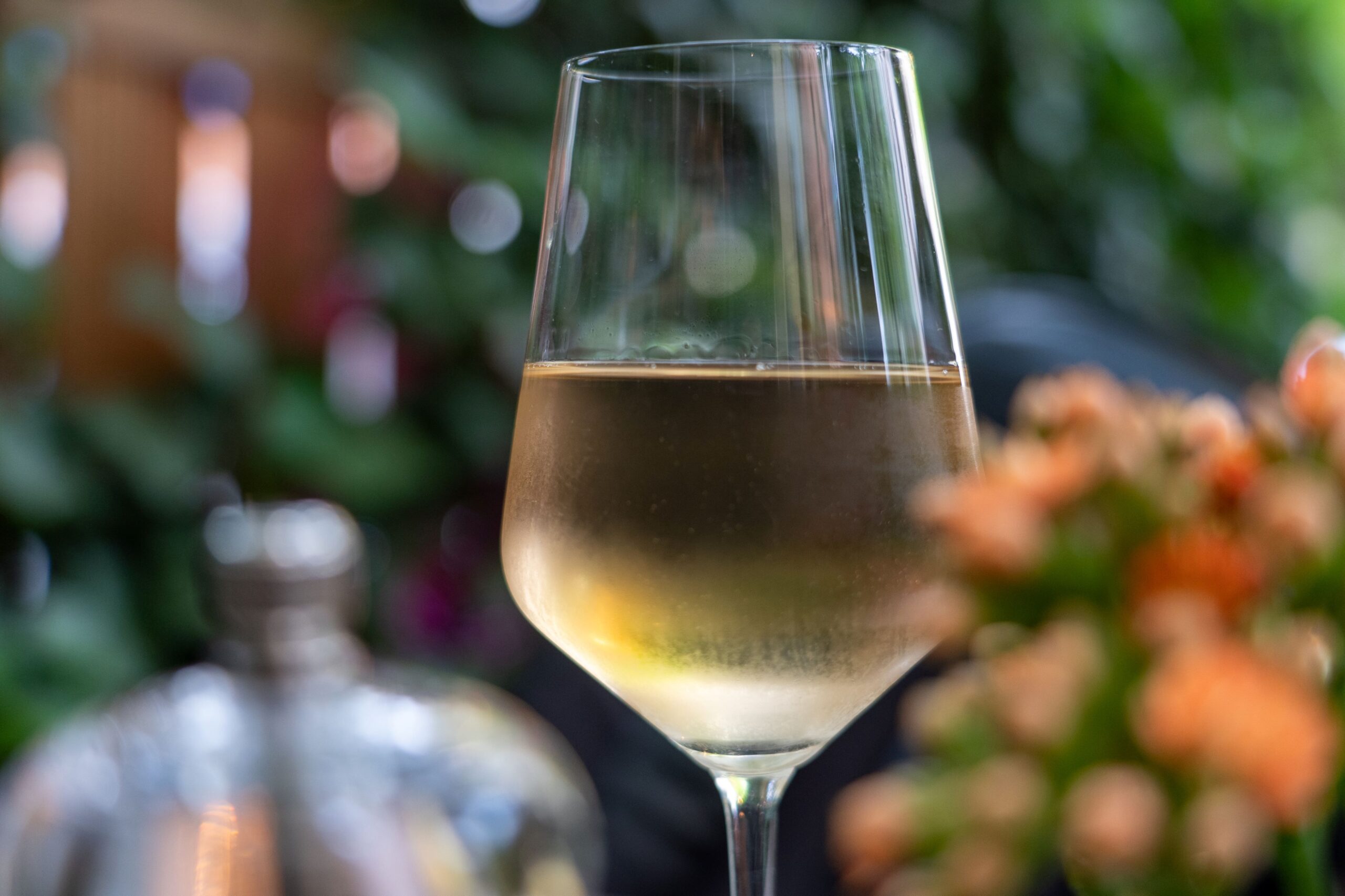 An Enthusiast's Guide to Yellow Tail Wine - Wine Cellar Hub